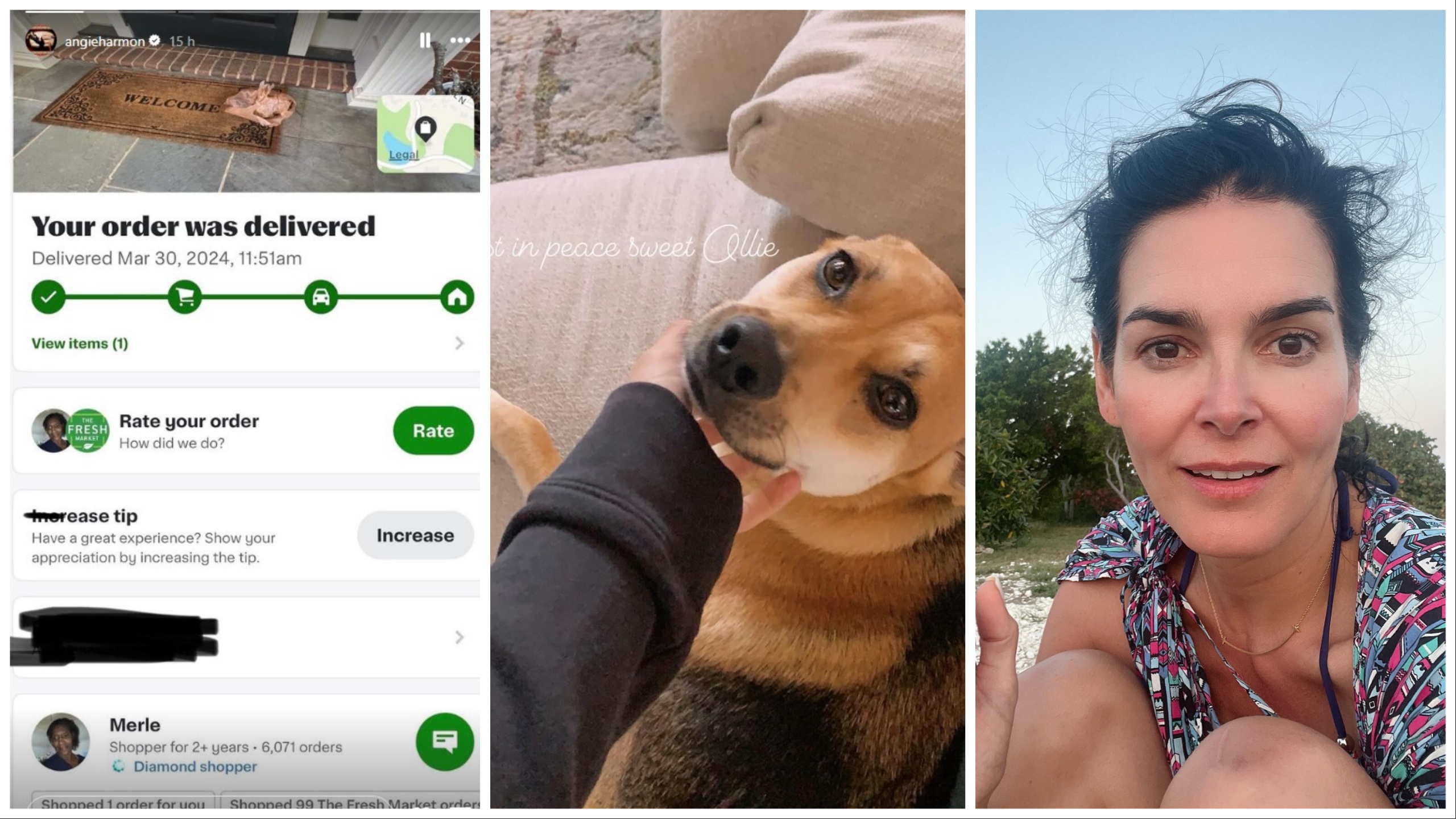 L'attrice Angie Harmon denuncia rider: ha sparato e ucciso il cane