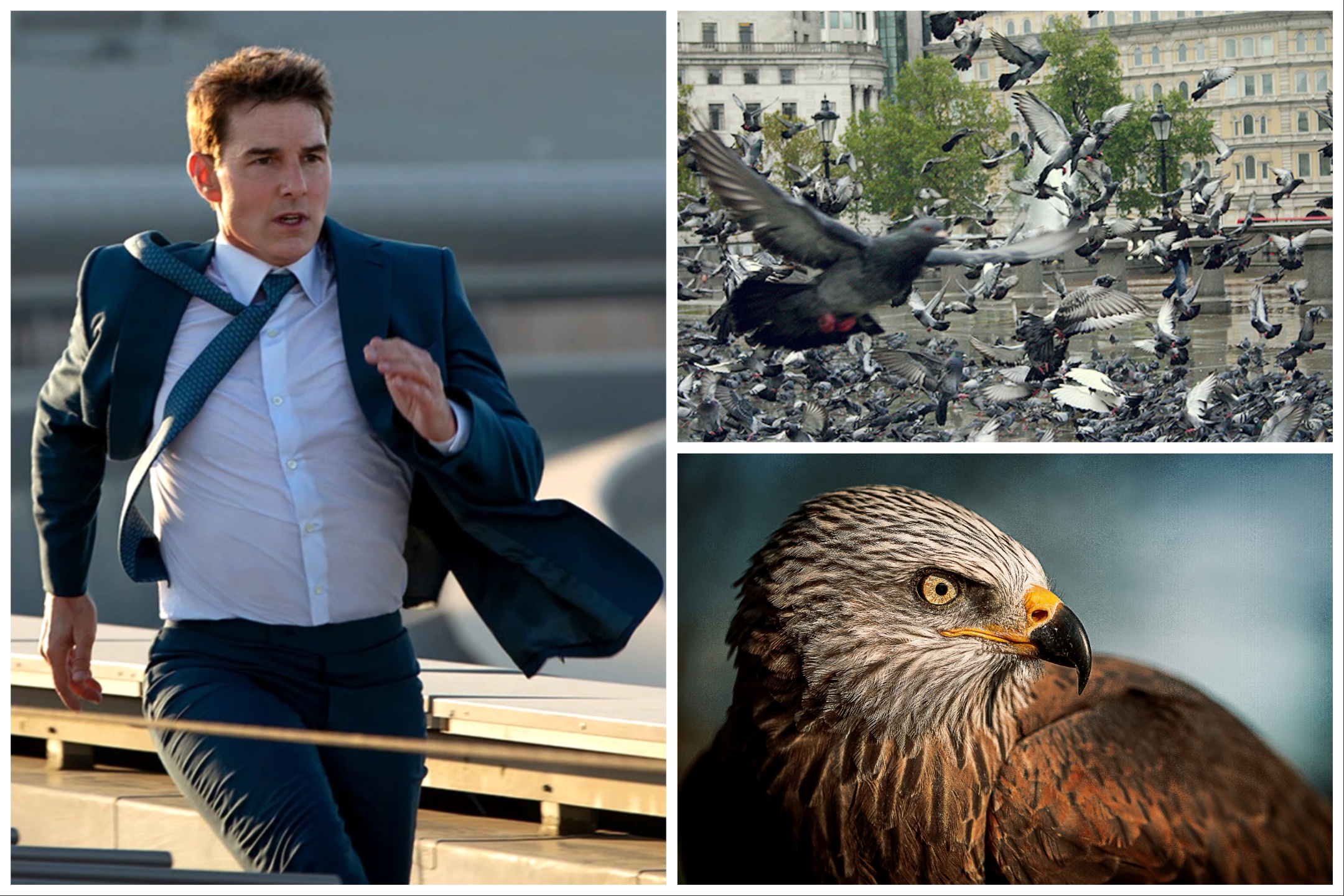 Tom Cruise sfratta i piccioni da Londra per girare un film